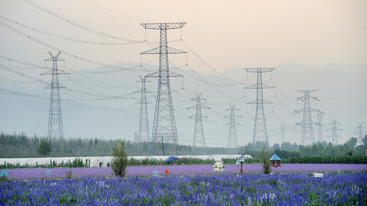 China's grid firm launches 230 KV power transmission line in Myanmar ...