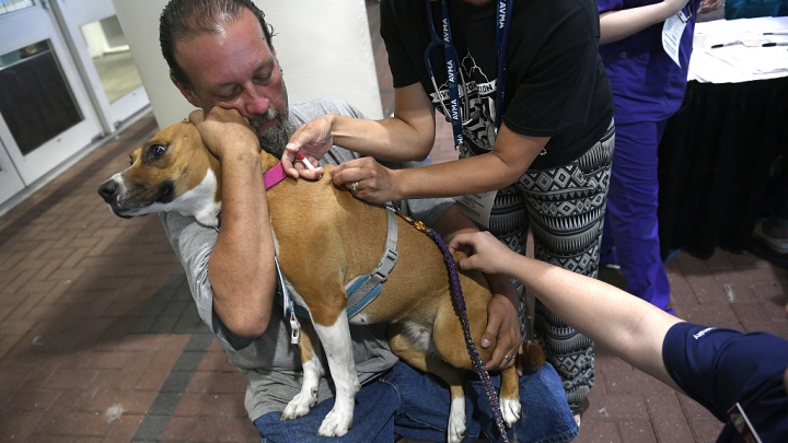 Mobile street vet helps homeless with pet care - China Plus