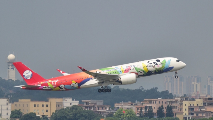 'Panda' aircraft makes first flight to Guangzhou - China Plus