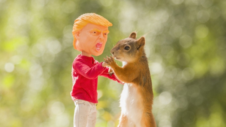 Funny scenes between Donald Trump figurine and squirrels - China Plus