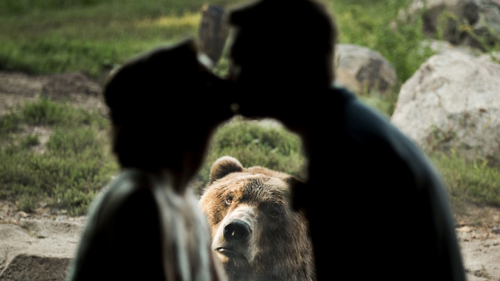 Unexpected furry guest shows up during newlyweds' photo shoot - China Plus