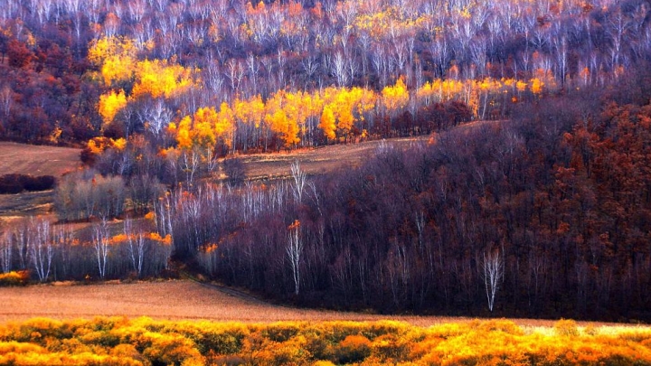 Autumn in the Hulunbuir grasslands - China Plus