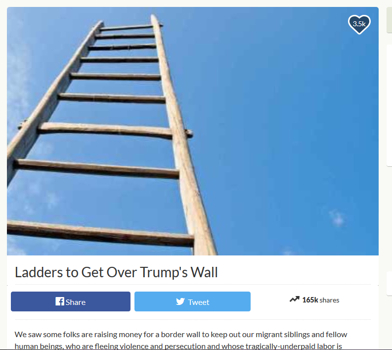 Two viral fundraisers put U.S.-Mexico border wall in spotlight - China Plus