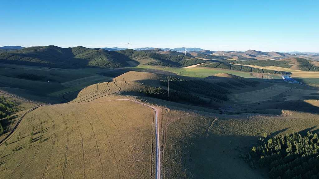 Mbi 660.000 hektarë pyje e kullota janë mbjellë në Kinë