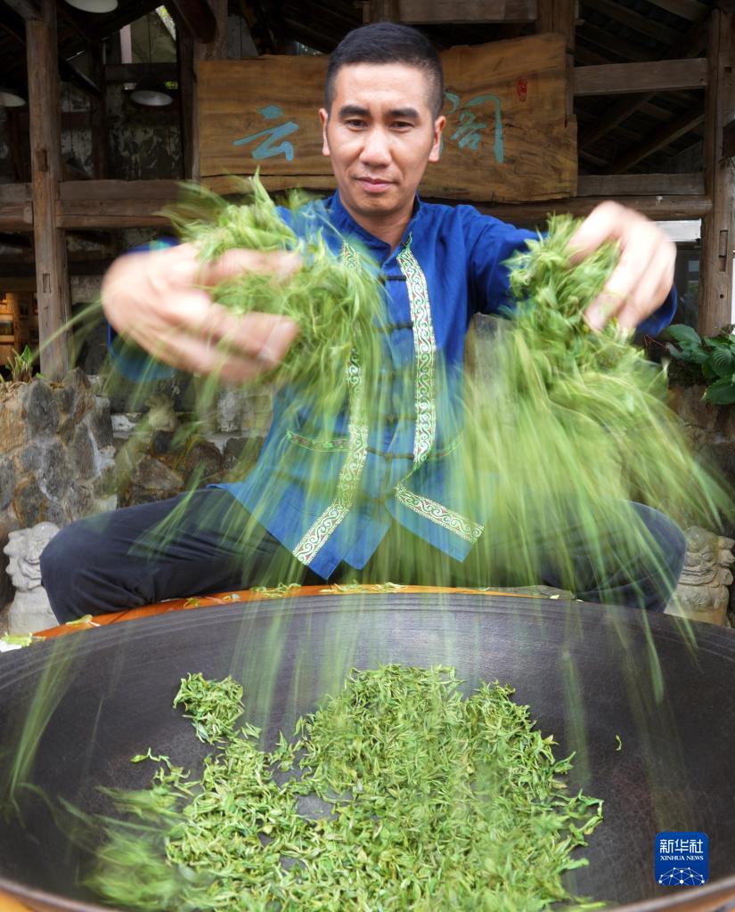 Industri Teh Maojian Jana Pembangunan Desa